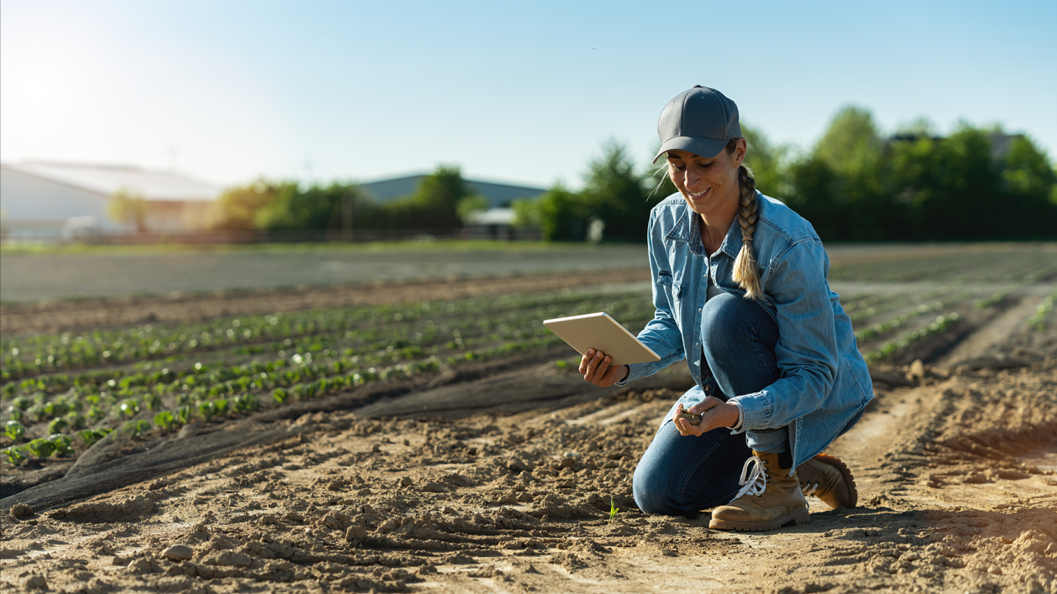 BASF Agricultural Solutions / Mais rendimento e qualidade