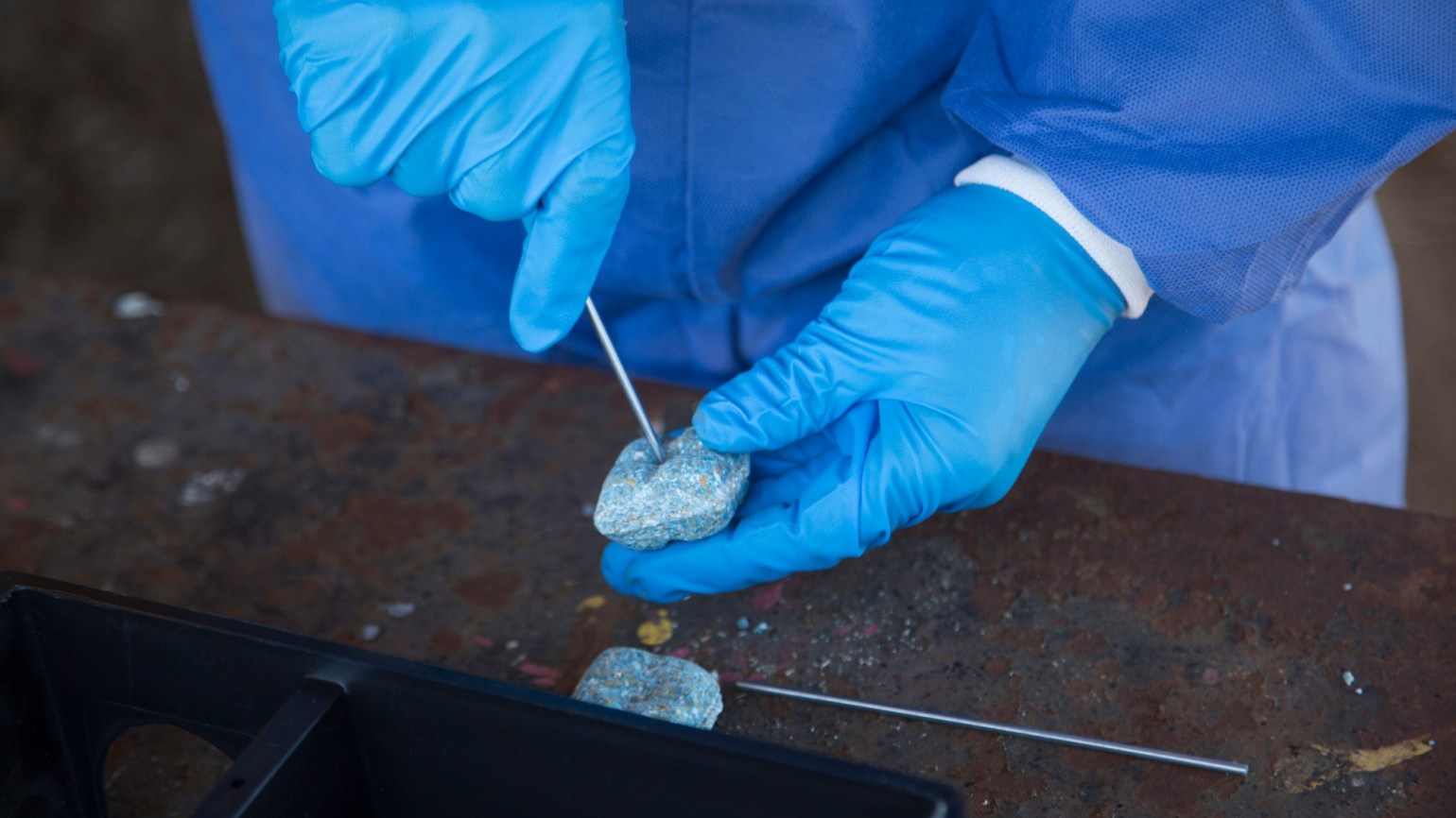 Storm® Ultra - BASF Agricultural Solutions Portugal