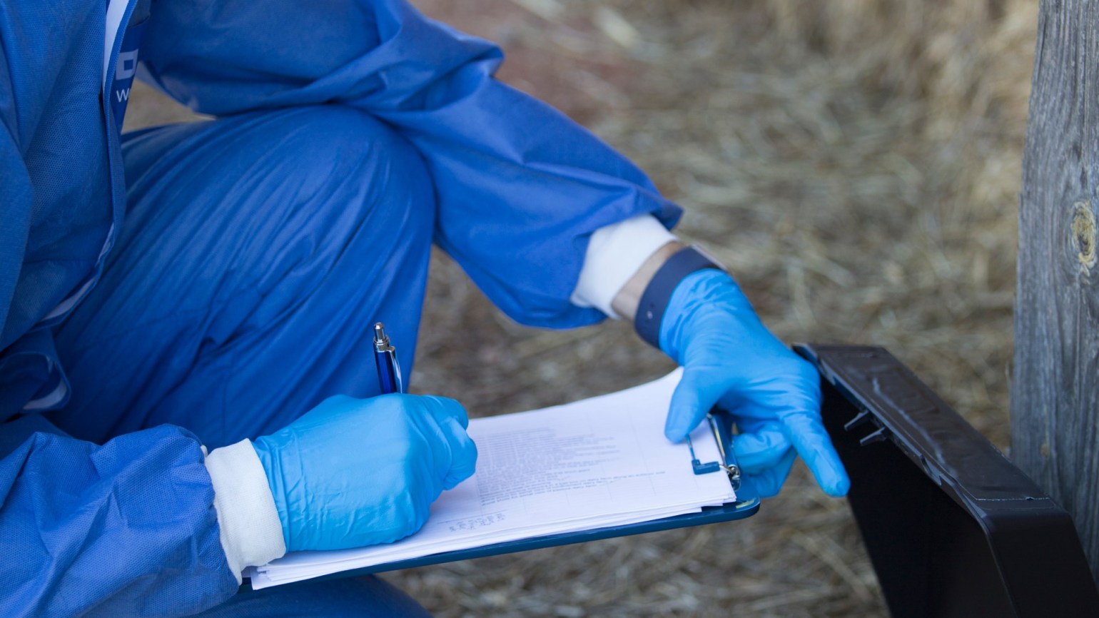 Storm® Ultra - BASF Agricultural Solutions Portugal