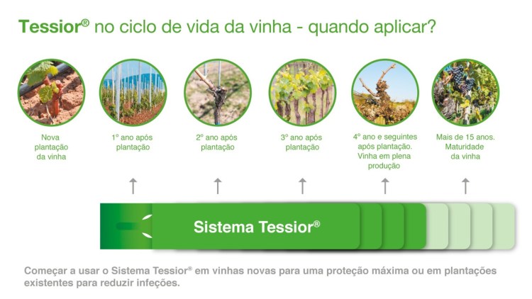 Sistema Tessior® | Quando e Como | BASF Agro Portugal